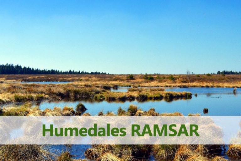 Humedales RAMSAR