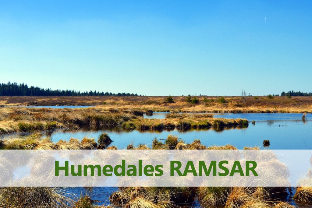 Humedales RAMSAR
