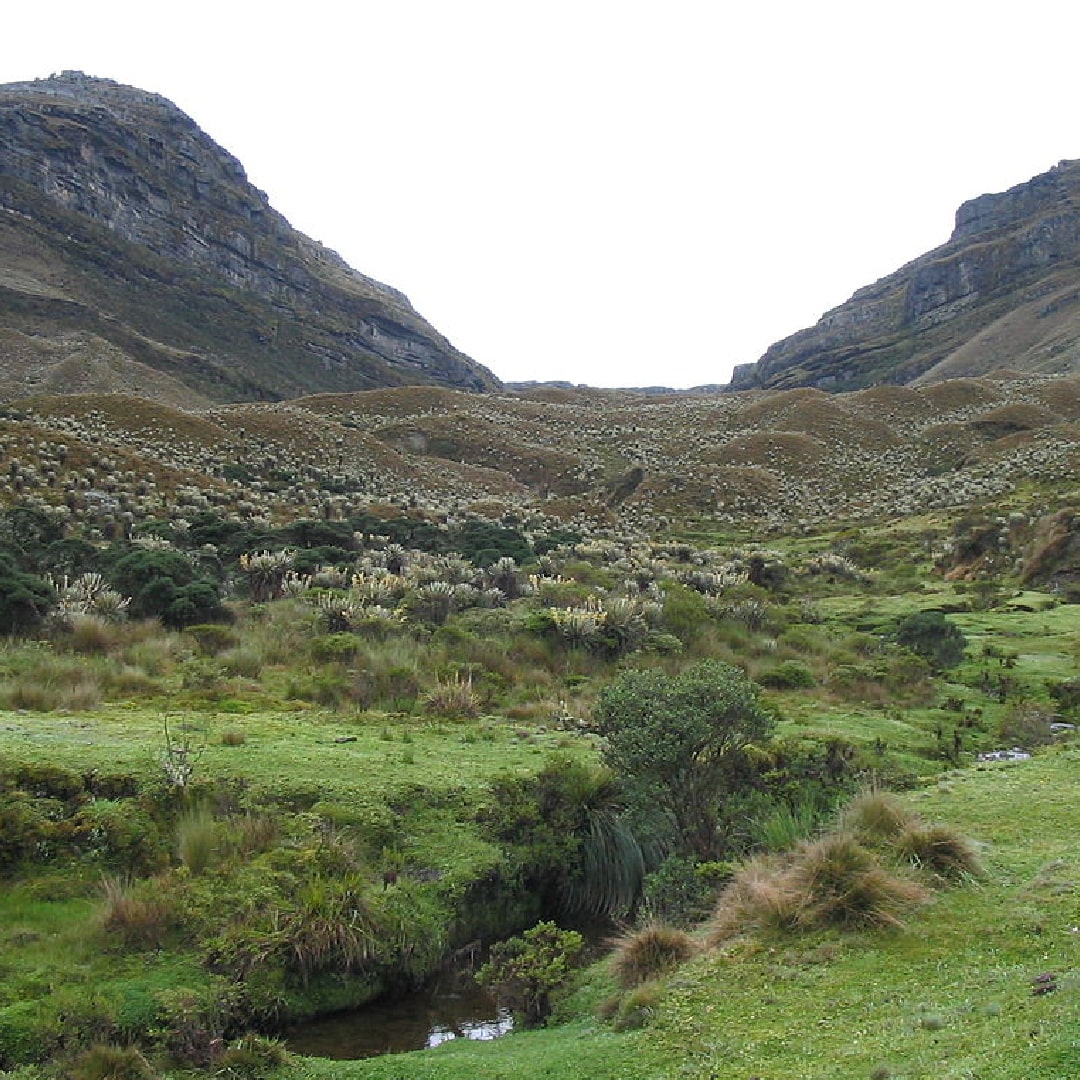 Mesa de Trabajo Delimitación Páramo de Santurbán San Cayetano (Norte de ...