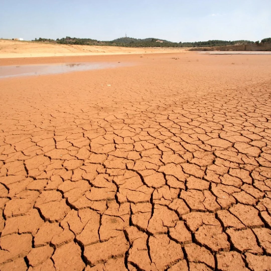 Día Mundial contra la Desertificación y la Sequía