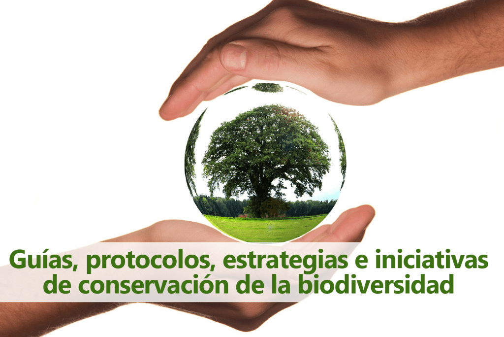 Guías Protocolos Estrategias E Iniciativas De Conservación De La