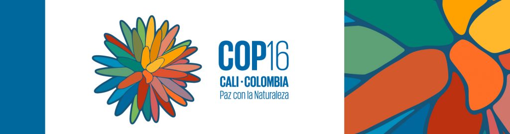 cop 16